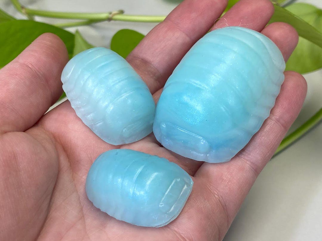 Isopod Roly Poly Squishy Toy Fidget Squishy Rollies Silicone Taba ...