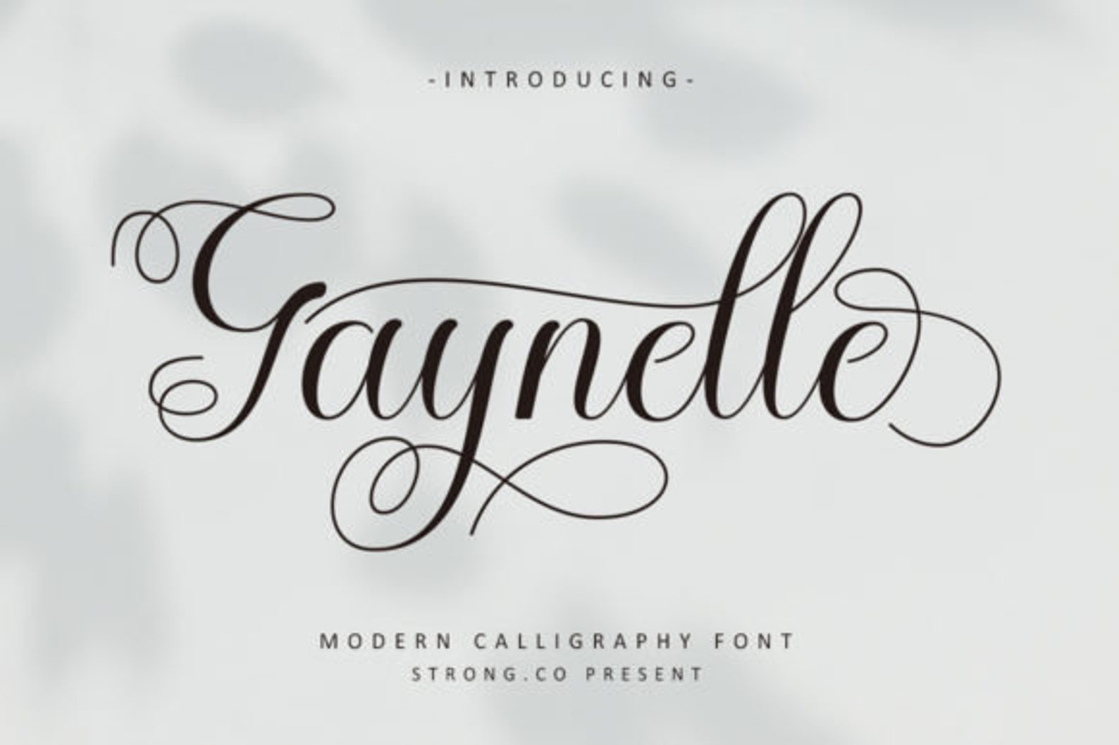 The Ultimate 20 Modern Fonts Bundle, Cursive Font Bundle, Script Fonts ...