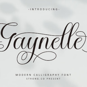 The Ultimate 20 Modern Fonts Bundle, Cursive Font Bundle, Script Fonts ...