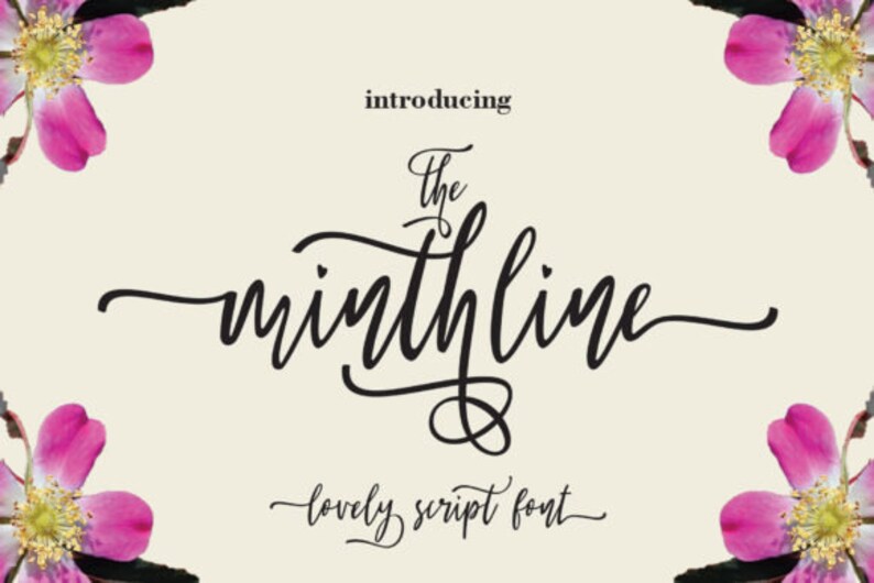 Handwritten Font Bundle Calligraphy Font, Script Font, Cricut Font Svg, Cursive Font, Procreate ...