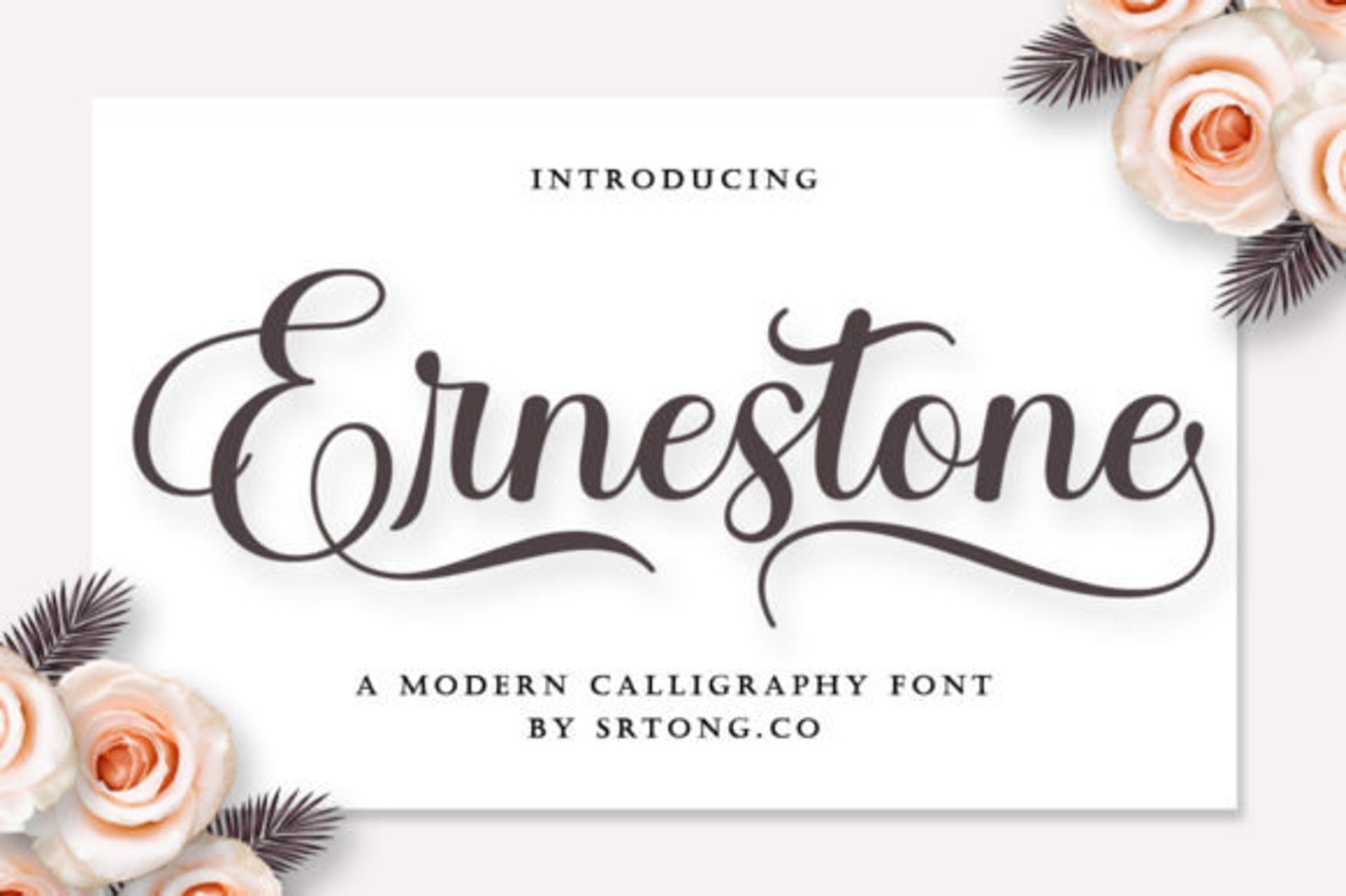 The Ultimate 20 Modern Fonts Bundle, Cursive Font Bundle, Script Fonts ...