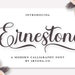 The Ultimate 20 Modern Fonts Bundle, Cursive Font Bundle, Script Fonts, Canva Font, Procreate ...