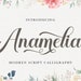 The Ultimate 20 Modern Fonts Bundle, Cursive Font Bundle, Script Fonts, Canva Font, Procreate ...