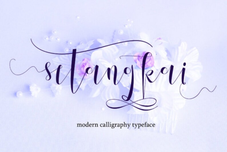 Handwritten Font Bundle Calligraphy Font, Script Font, Cricut Font Svg, Cursive Font, Procreate ...