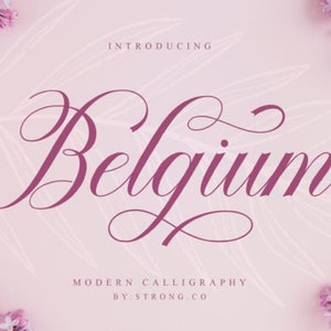 The Ultimate 20 Modern Fonts Bundle, Cursive Font Bundle, Script Fonts ...