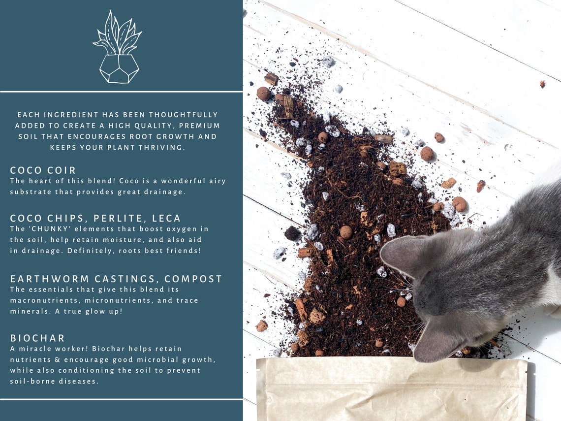 CHUNKY AROID MIX Premium Tropical Potting Mix for Monstera - Etsy