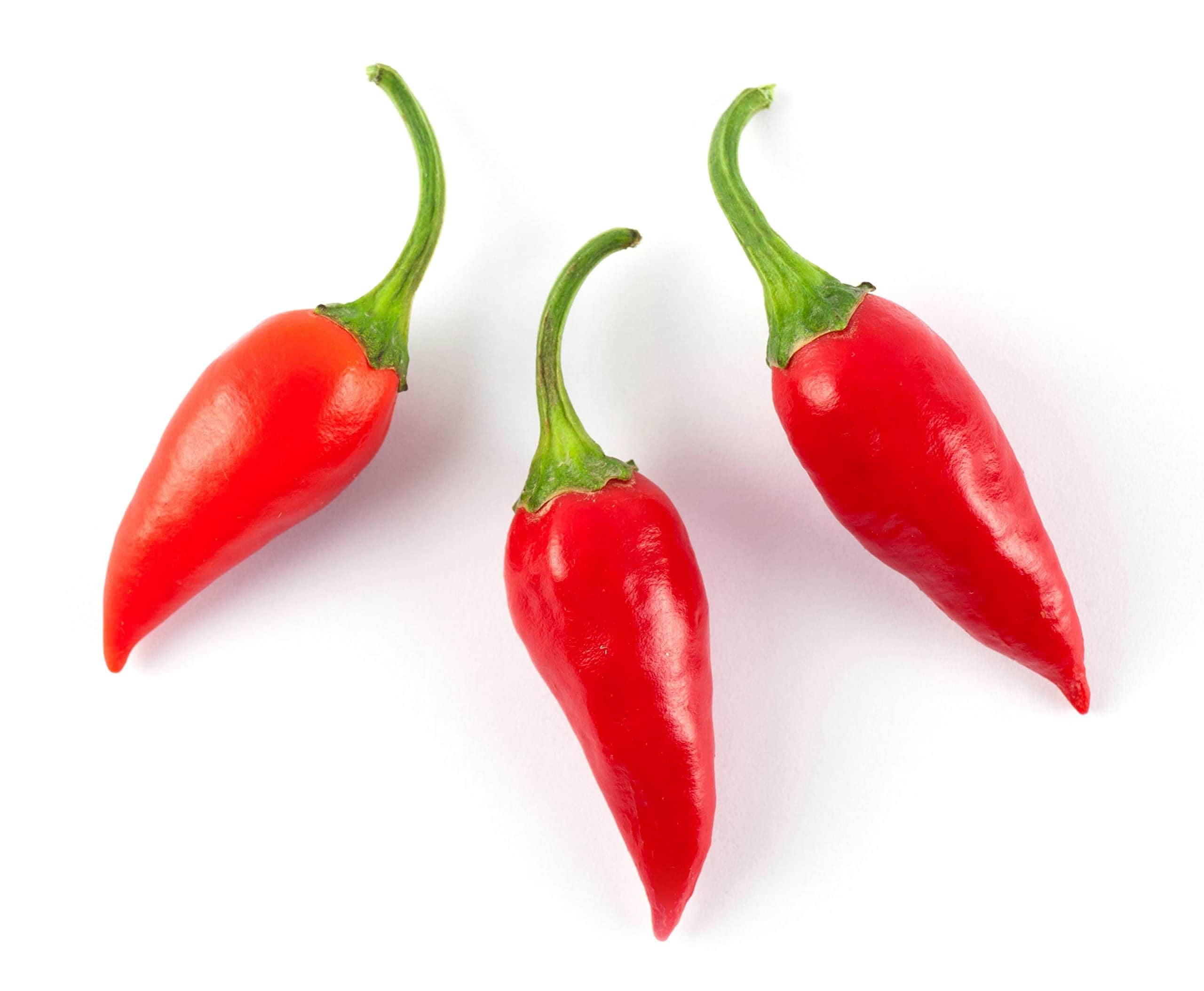 Prairie Fire Chilli Plants - 6 X or 12 X Large Plug Plant Pack - Etsy UK