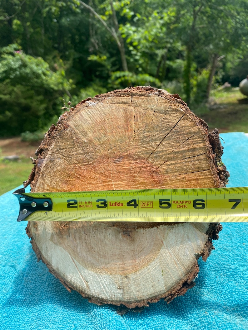 Cherry Wood, Rough Cut, Live Edge, Single Log Untreated, Burl - Etsy