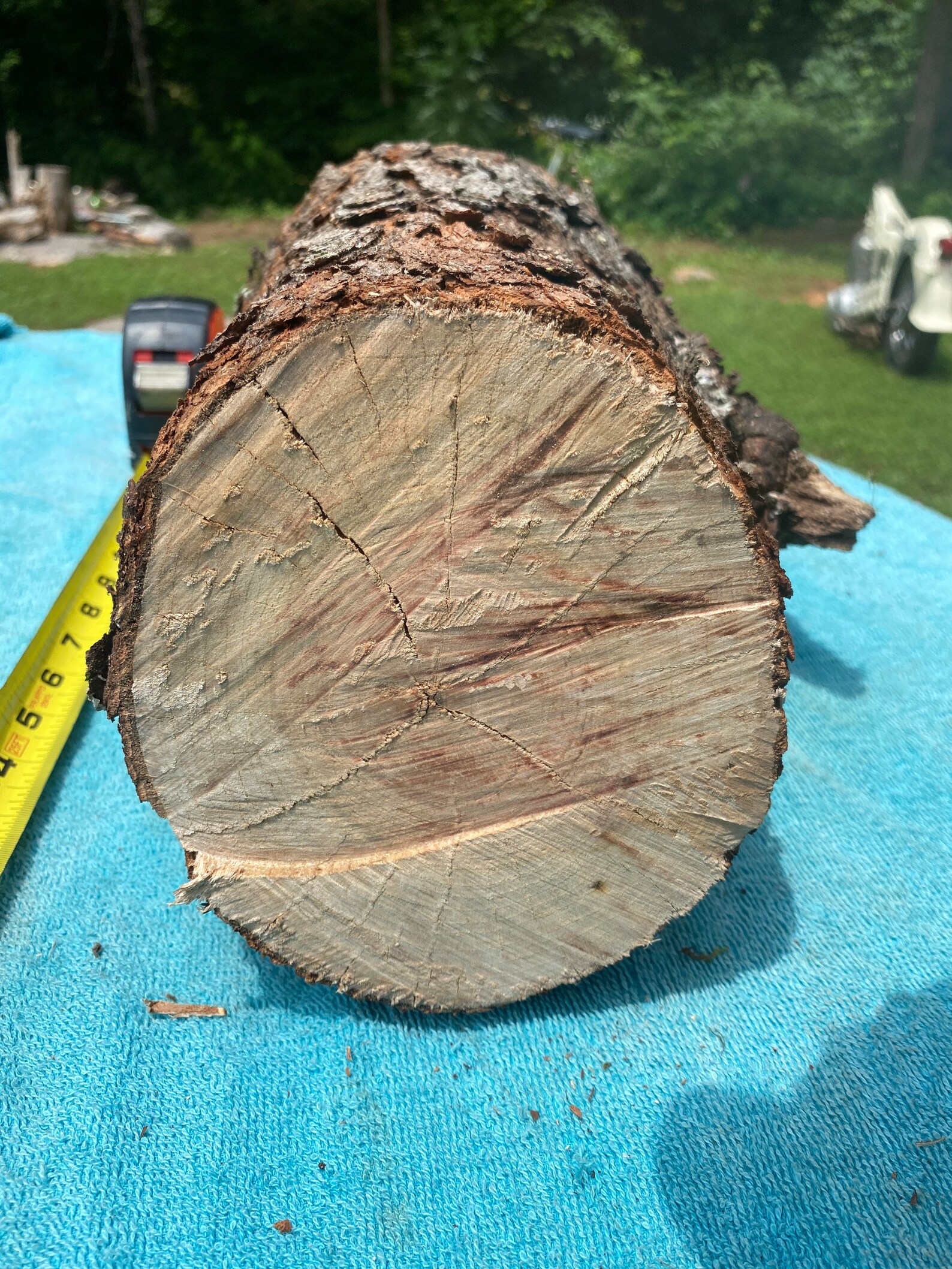 Cherry Wood, Rough Cut, Live Edge, Single Log Untreated, Burl - Etsy