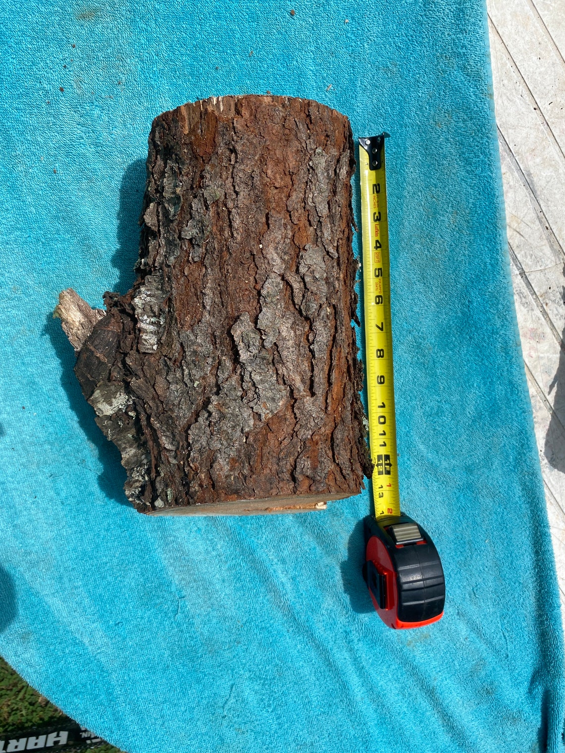 Cherry Wood, Rough Cut, Live Edge, Single Log Untreated, Burl - Etsy