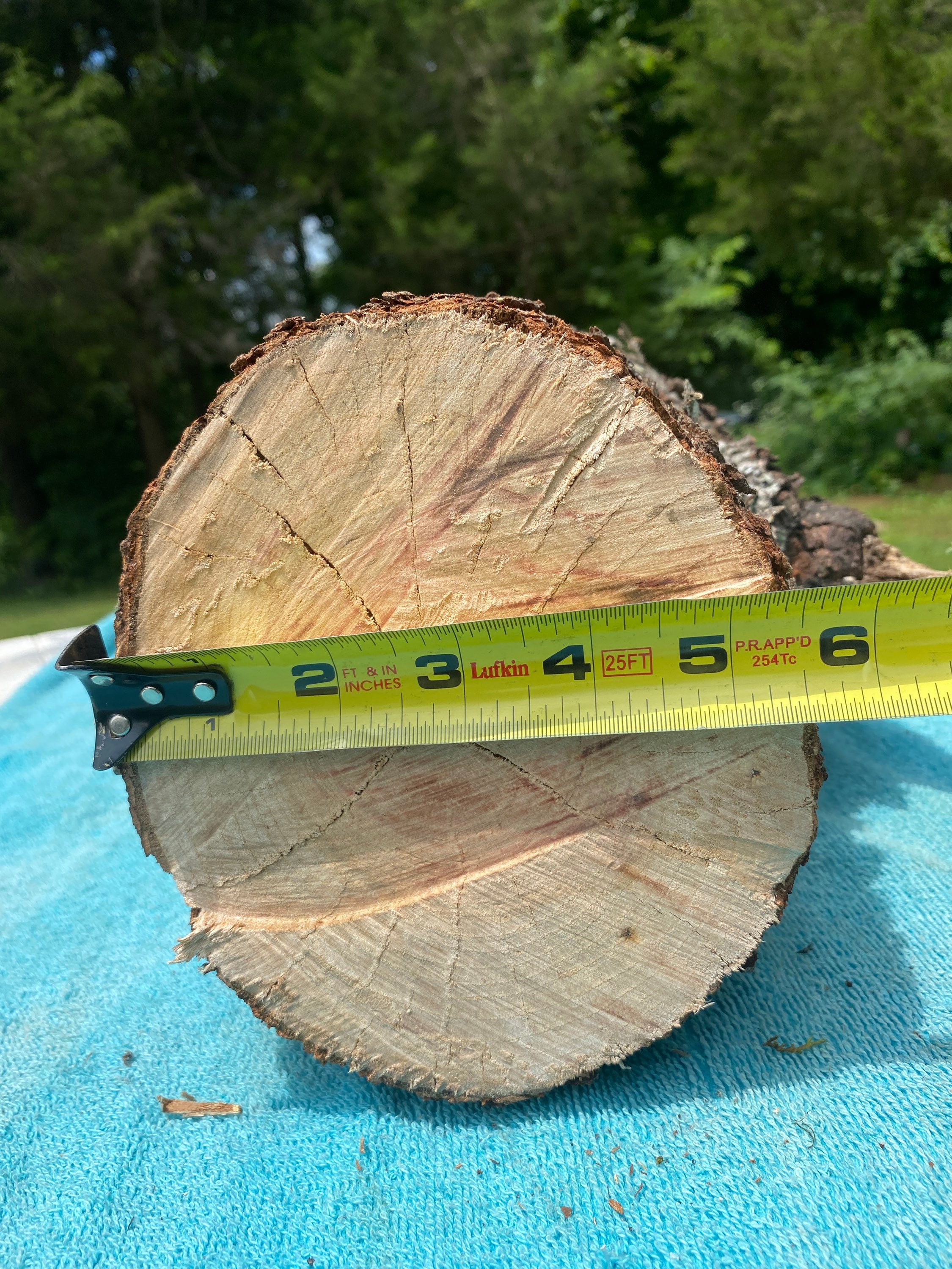 Cherry Wood, Rough Cut, Live Edge, Single Log Untreated, Burl - Etsy
