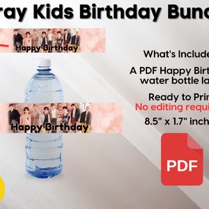 Stray Kids Birthday Party Bundle: SKZ Invitation, Labels (digital ...