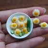Miniature Coconut for a Dollhouse, 1/12 and 1/6 Scale Realistic Fruits ...