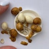 Miniature Coconut for a Dollhouse, 1/12 and 1/6 Scale Realistic Fruits ...