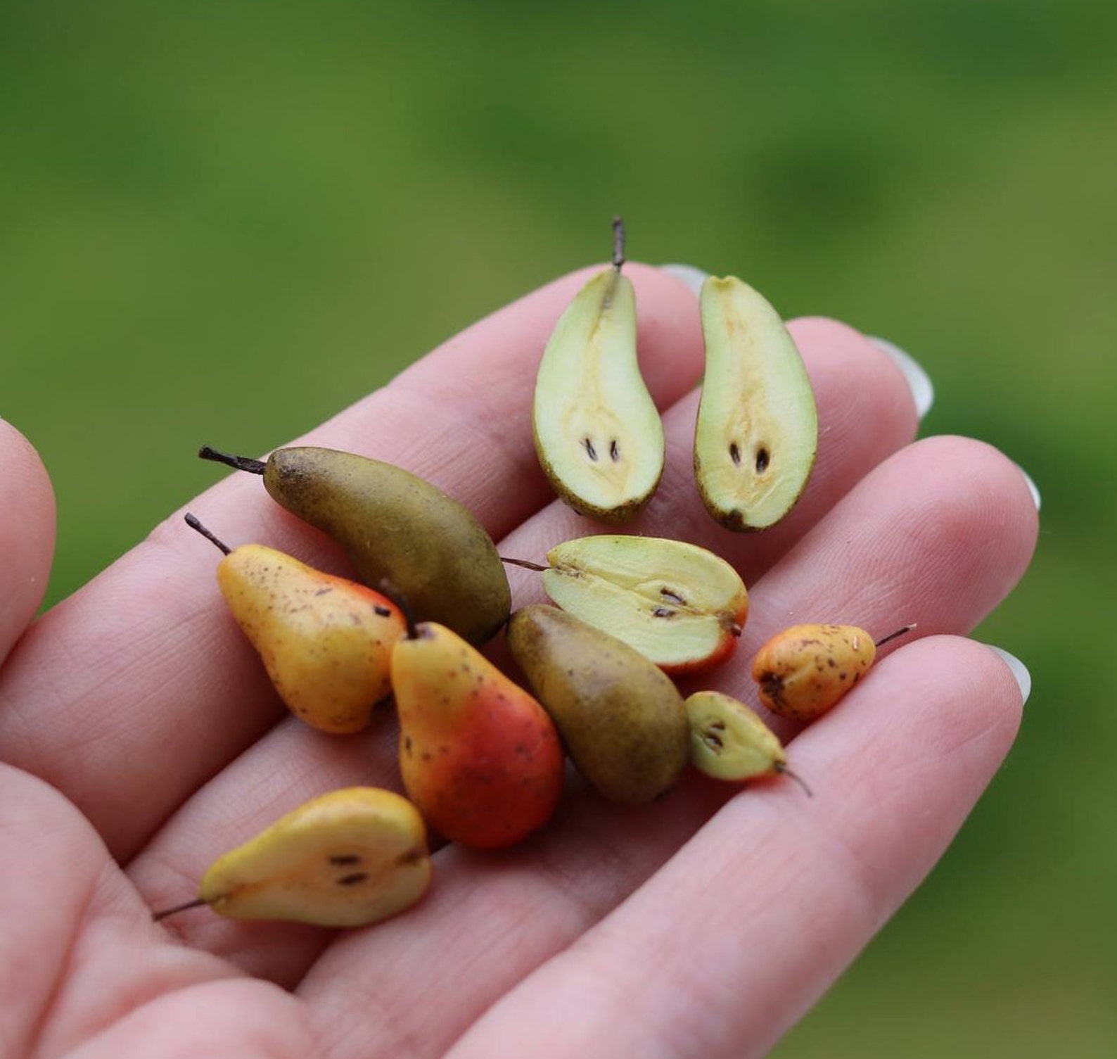 Miniature Pears for a Dollhouse, 1/12 and 1/6 Scale Realistic Fruits ...