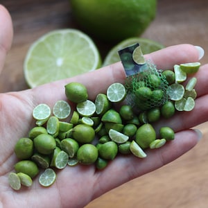 Miniature Lime , Miniature Lemon , Dollhouse Food, Food for Dollhouse, Mini Food, Doll Food ...