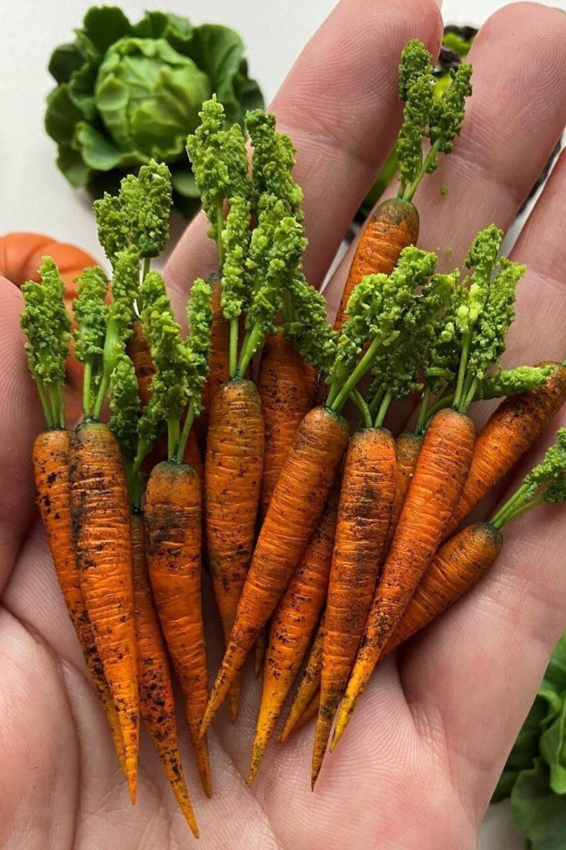 Mini Carrots Vegetables for a Dollhouse in 1/6 Scale Miniature - Etsy