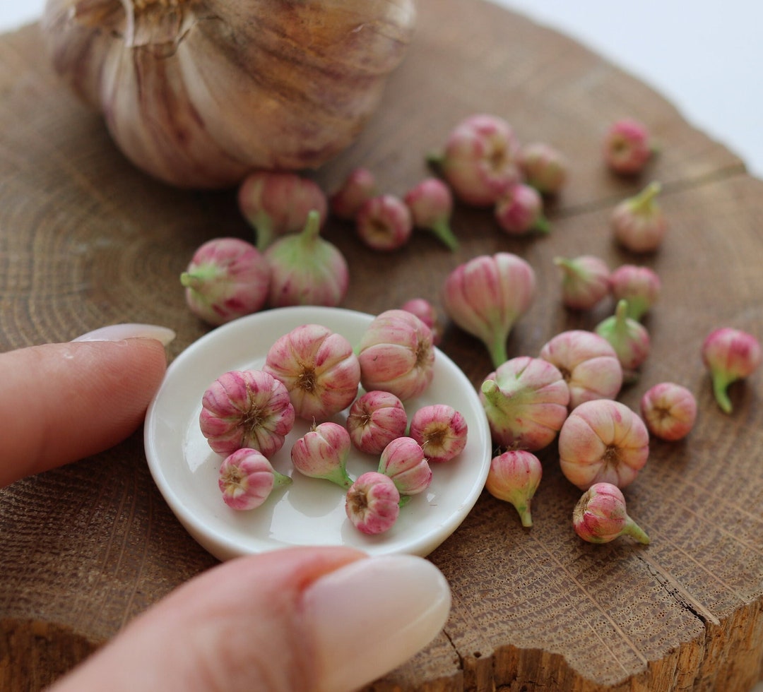 Garlic, Garlic in a Dollhouse, Dollhouse Miniature, Dolls Toys Food ...