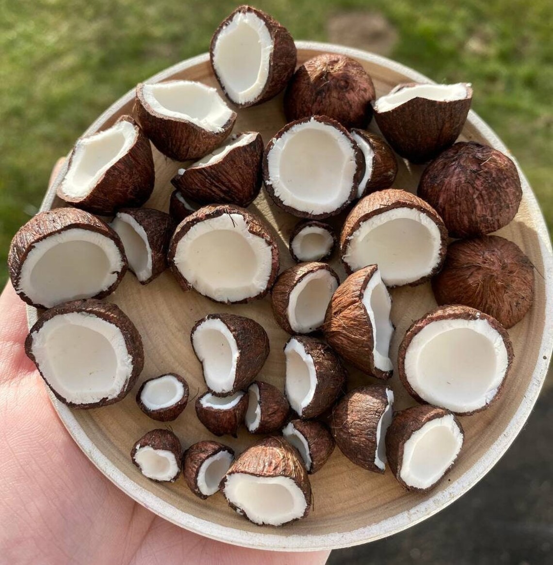 Miniature Coconut for a Dollhouse, 1/12 and 1/6 Scale Realistic Fruits ...