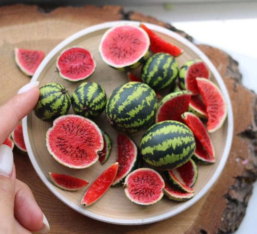 Piece of Watermelon Miniature Watermelon Fruit Clay Mini Fruit ...