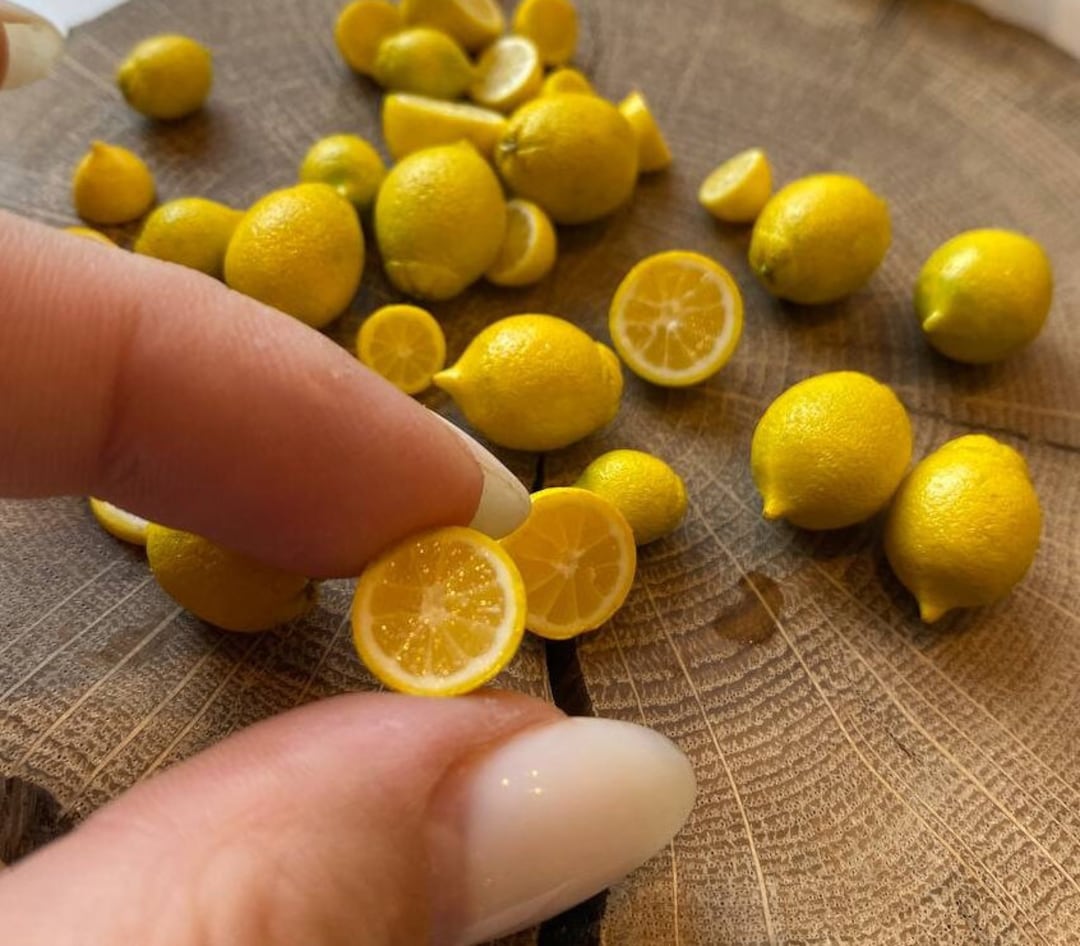 Miniature Lemon , Dollhouse Food, Food for Dollhouse, Mini Food, Doll ...