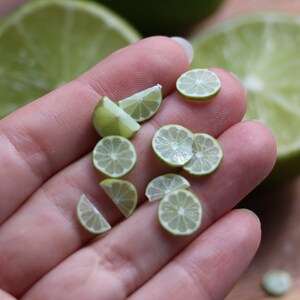 10 Slices of Lime , Dollhouse Food, Food for Dollhouse, Mini Food, Doll ...