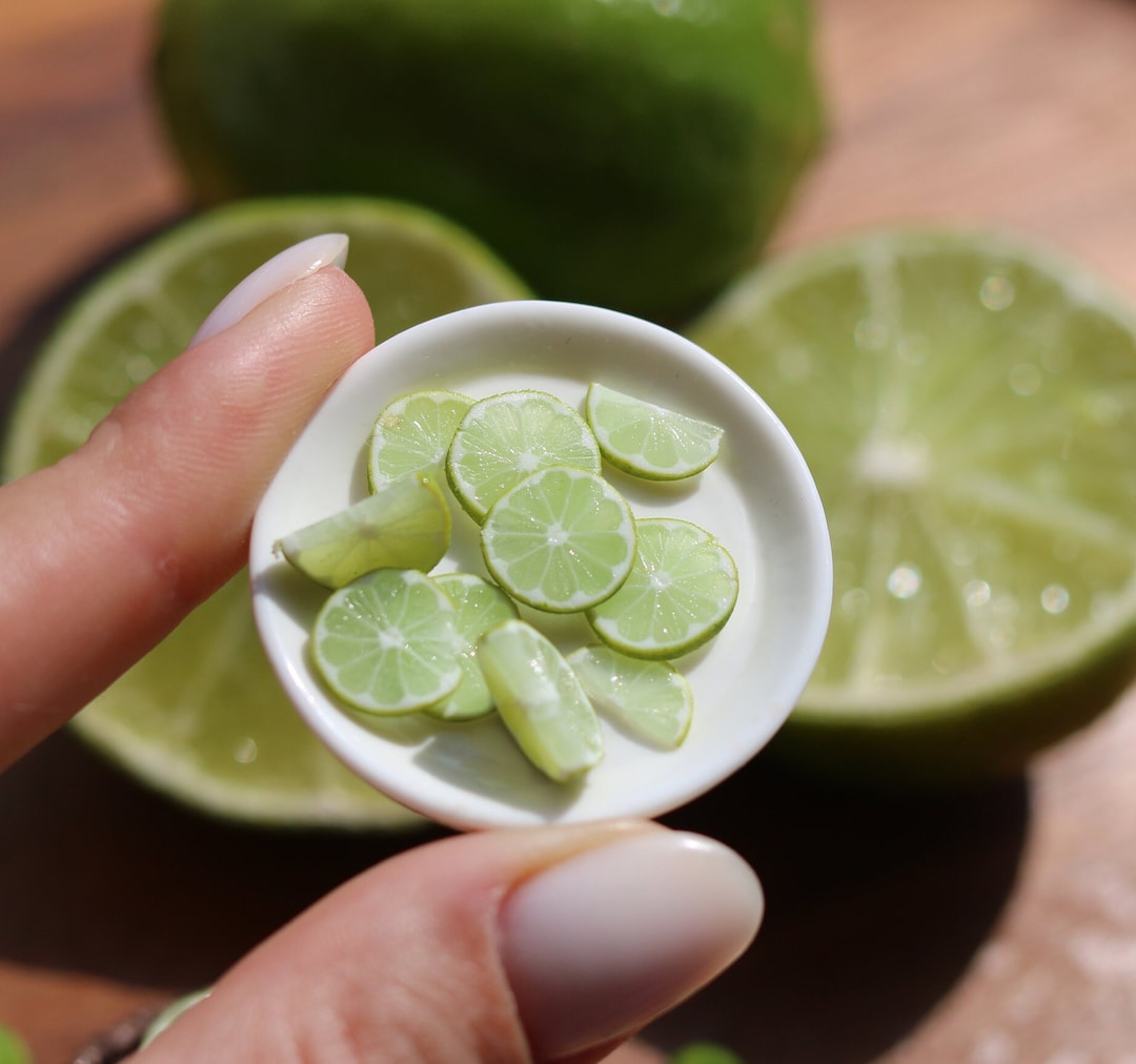 10 Slices of Lime , Dollhouse Food, Food for Dollhouse, Mini Food, Doll ...