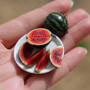 Watermelon Set Miniature Watermelon Fruit Clay Mini Fruit Dollhouse ...