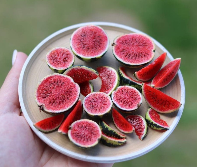 Piece of Watermelon Miniature Watermelon Fruit Clay Mini Fruit ...