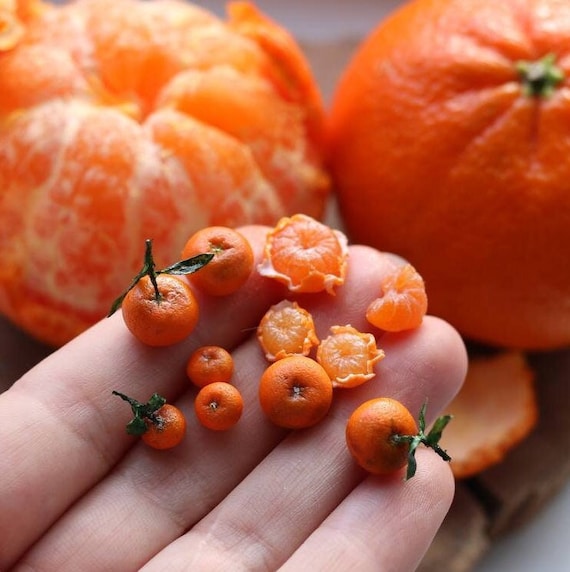 Miniature Tangerine Dollhouse Food Food for Dollhouse Mini - Etsy