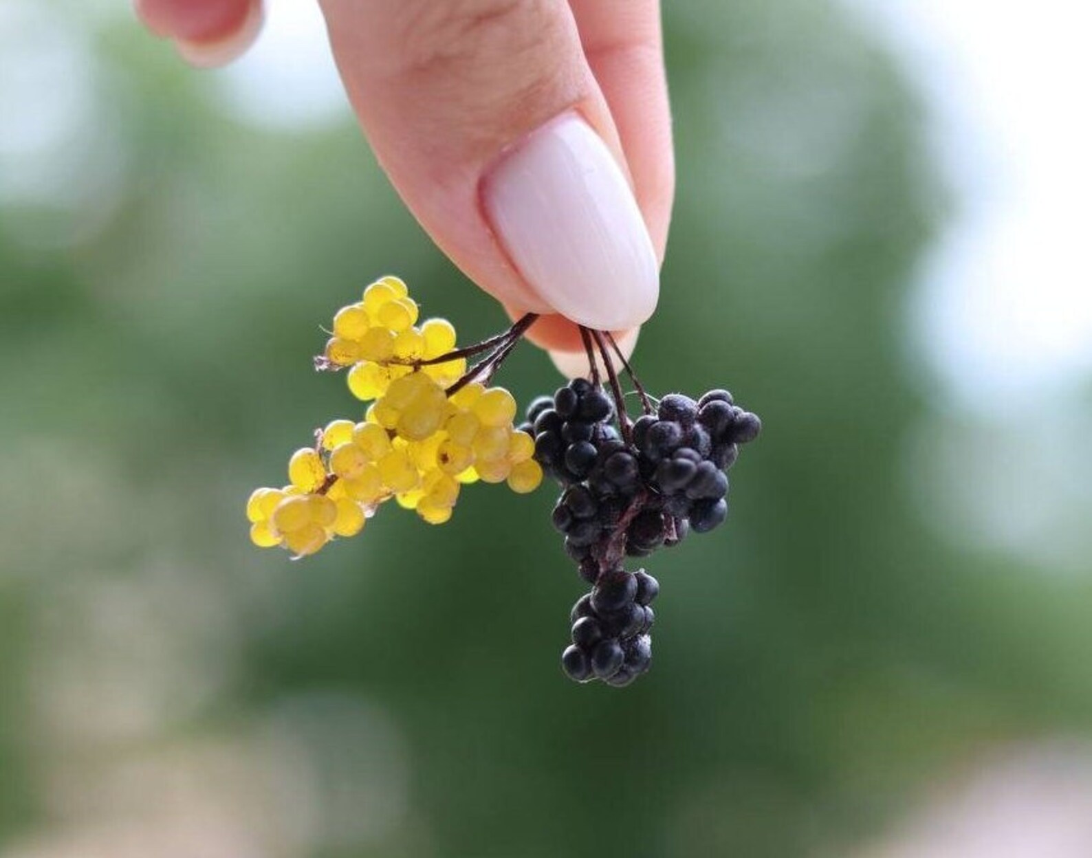 Miniature Grape for Doll, Dollhouse Miniatures, 1:6 Scale Grape ...