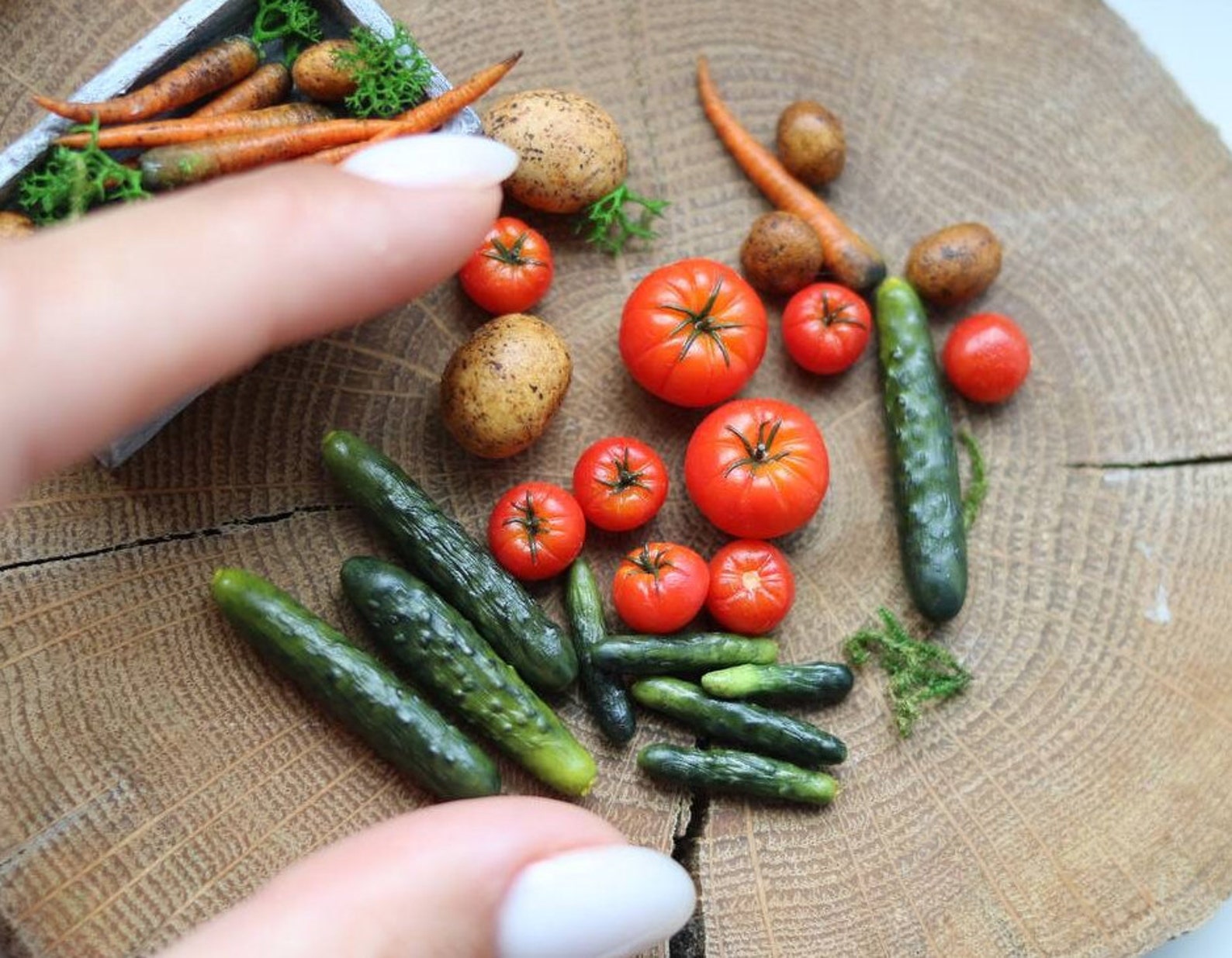 Tomatoes and Cucumbers for a Dollhouse in 1/6 Scale Miniature Vegetables for Dollhouse 1:6 Scale ...