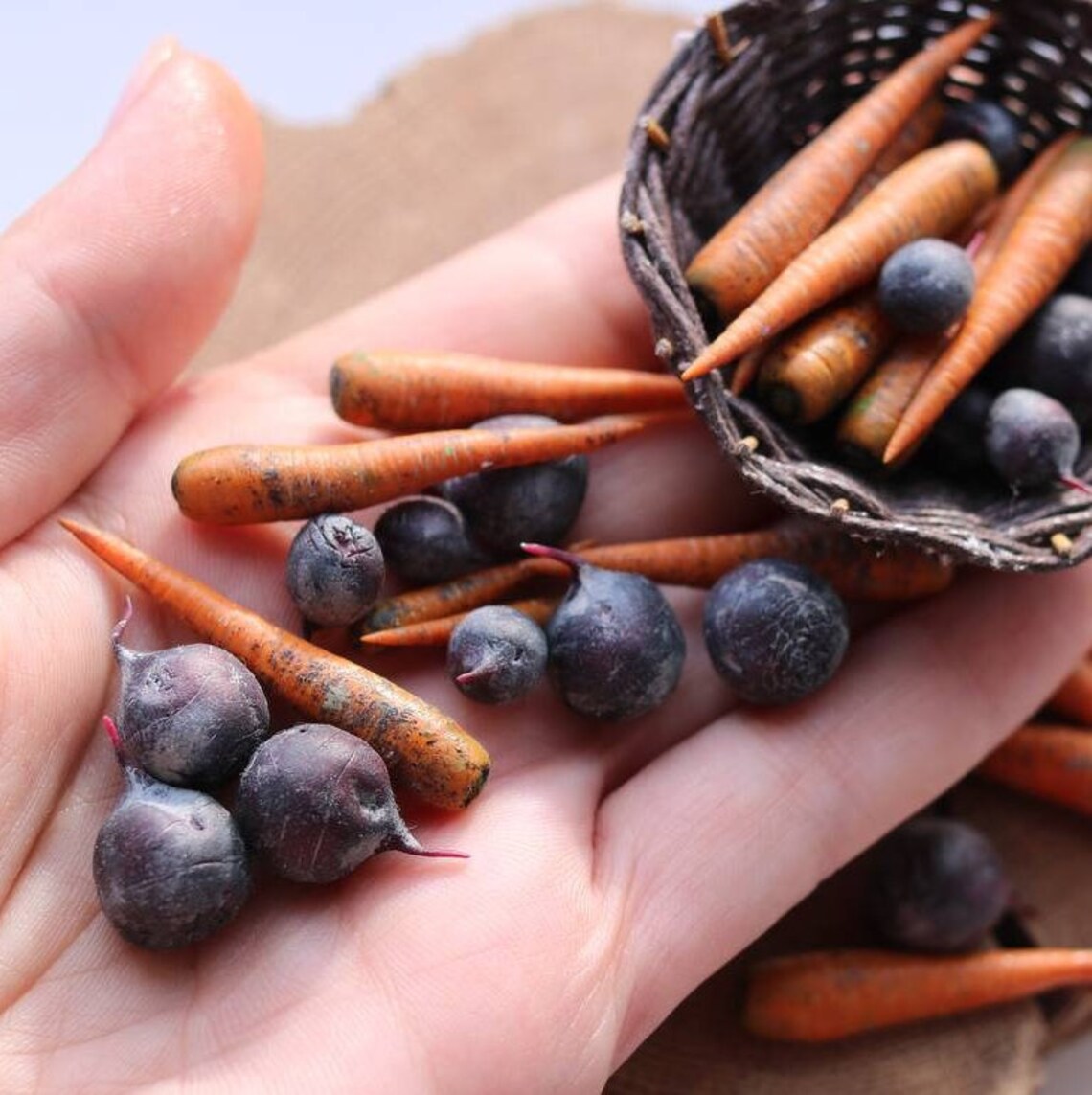Mini Beet Vegetables for a Dollhouse in 1/6 Scale Miniature - Etsy