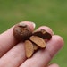 Miniature Tangerine , Dollhouse Food, Food for Dollhouse, Mini Food ...
