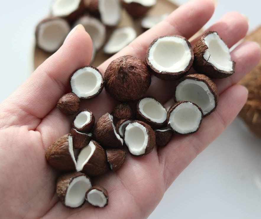 Miniature Coconut for a Dollhouse, 1/12 and 1/6 Scale Realistic Fruits ...
