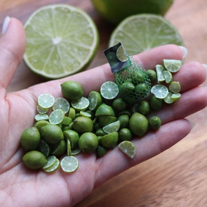 Miniature Lime , Miniature Lemon , Dollhouse Food, Food for Dollhouse ...