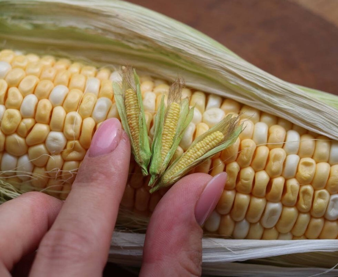 Miniature Corn Dollhouse Food Food for Dollhouse Mini - Etsy