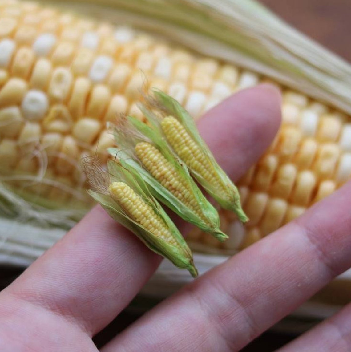 Miniature Corn Dollhouse Food Food for Dollhouse Mini - Etsy