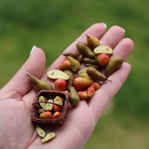 Miniature Pears for a Dollhouse, 1/12 and 1/6 Scale Realistic Fruits ...