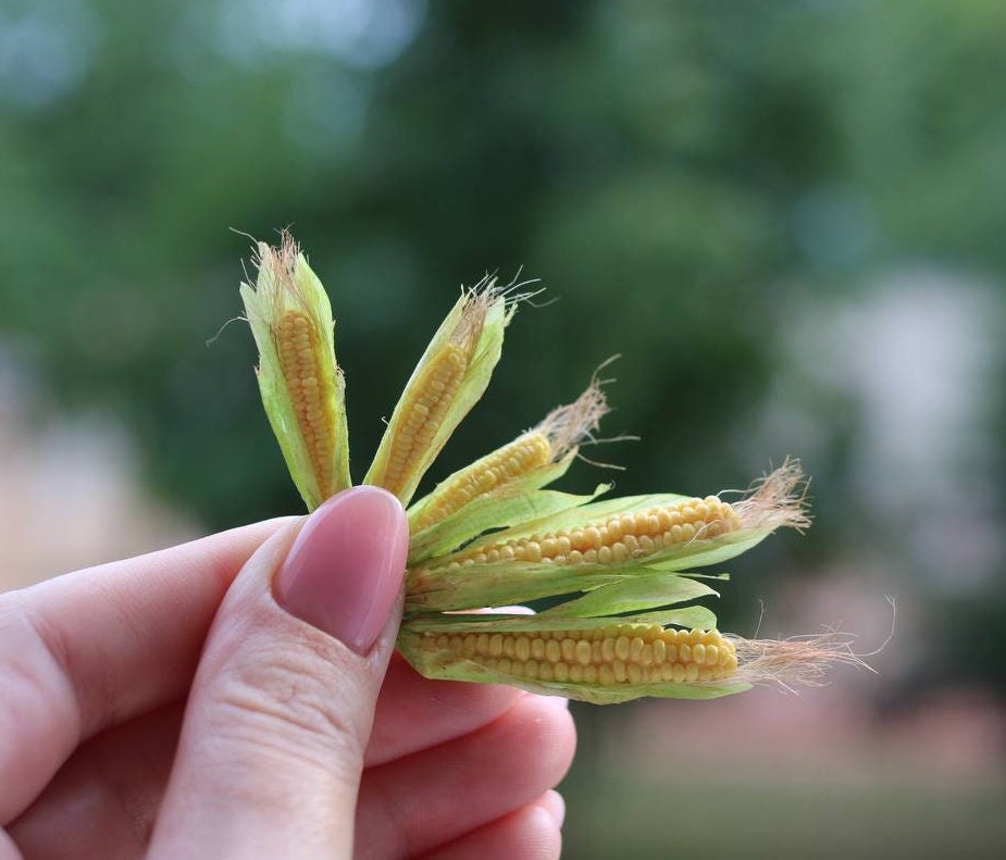 Miniature Corn , Dollhouse Food, Food for Dollhouse, Mini Food, Doll ...