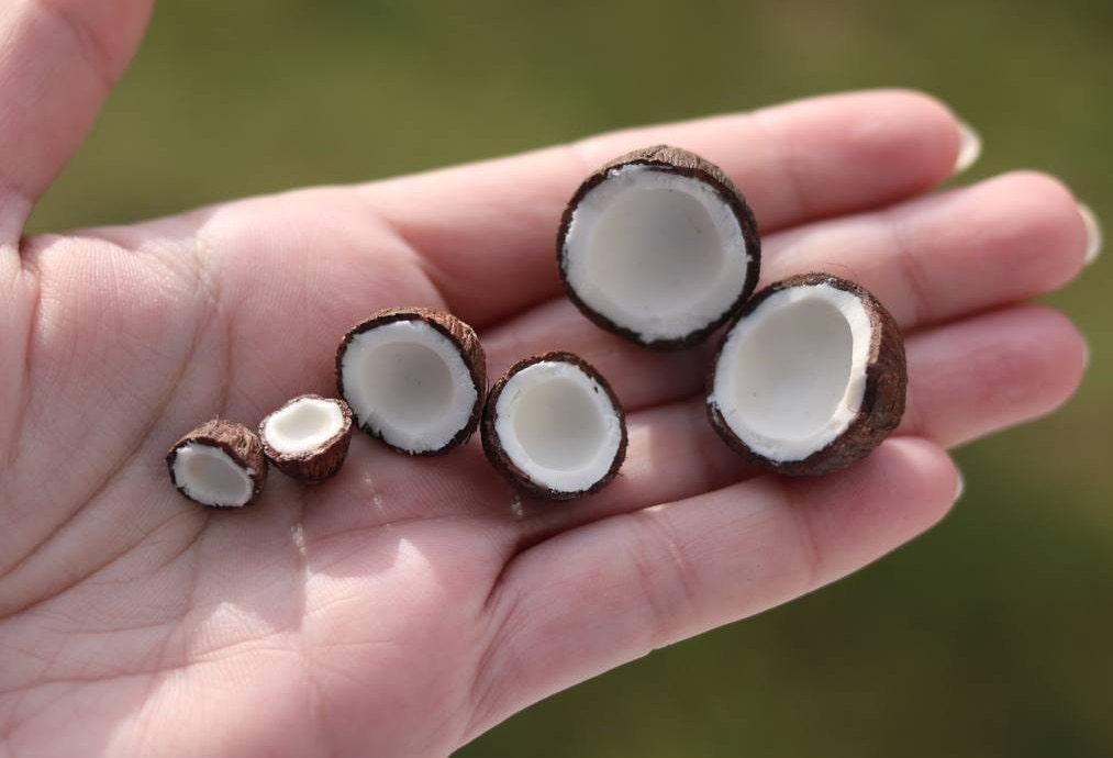 Miniature Coconut for a Dollhouse, 1/12 and 1/6 Scale Realistic Fruits ...
