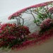 Azalea Embroidery Digital Tutorial (RUS), Floral Embroidery Pattern ...