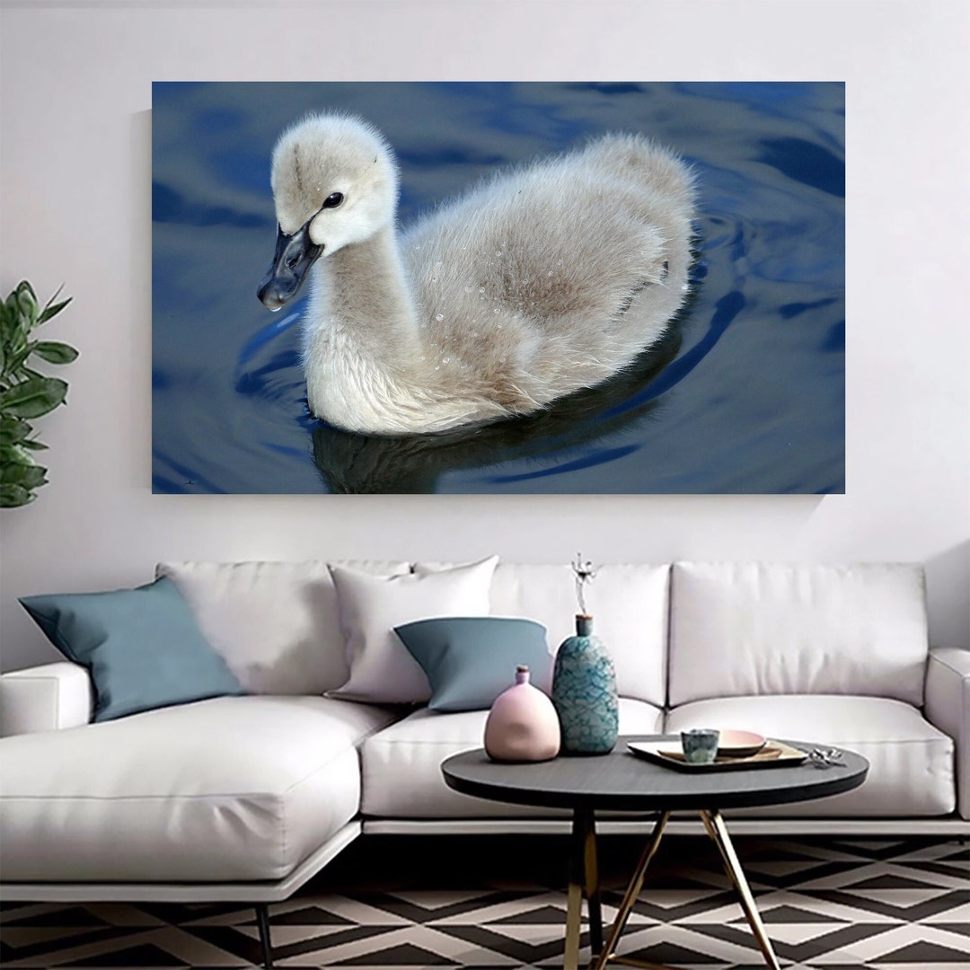 Black Cygnet Wall Art, Swan Canvas, Animal Print Art, Famous Painting ...