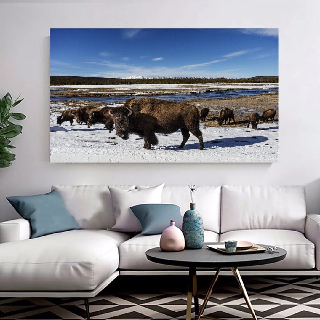 American Buffalo Canvas, Bisons Family Wall Art, Buffalo Canvas ...