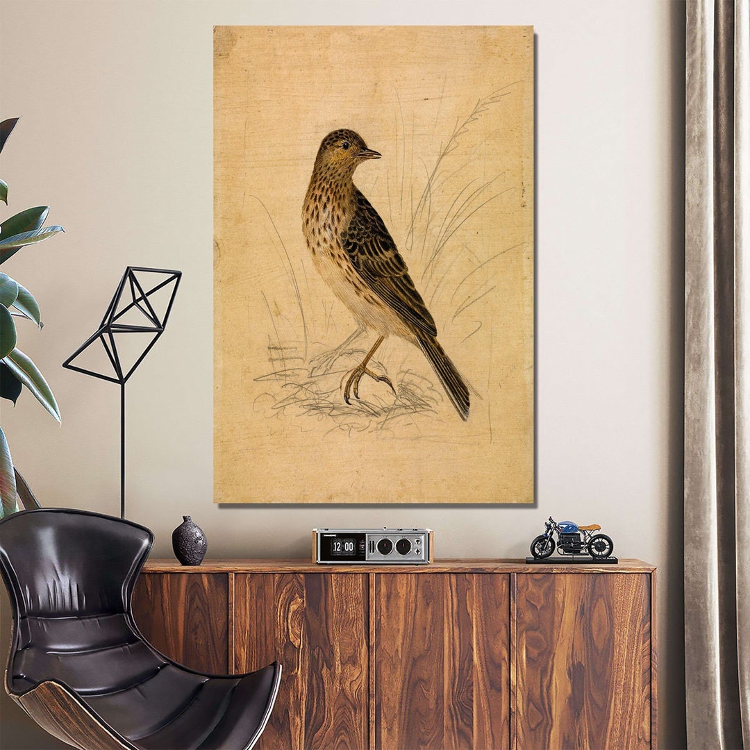 Vintage Bird Wall Art, Antique Bird Canvas Art, Nursery Wall Decor ...