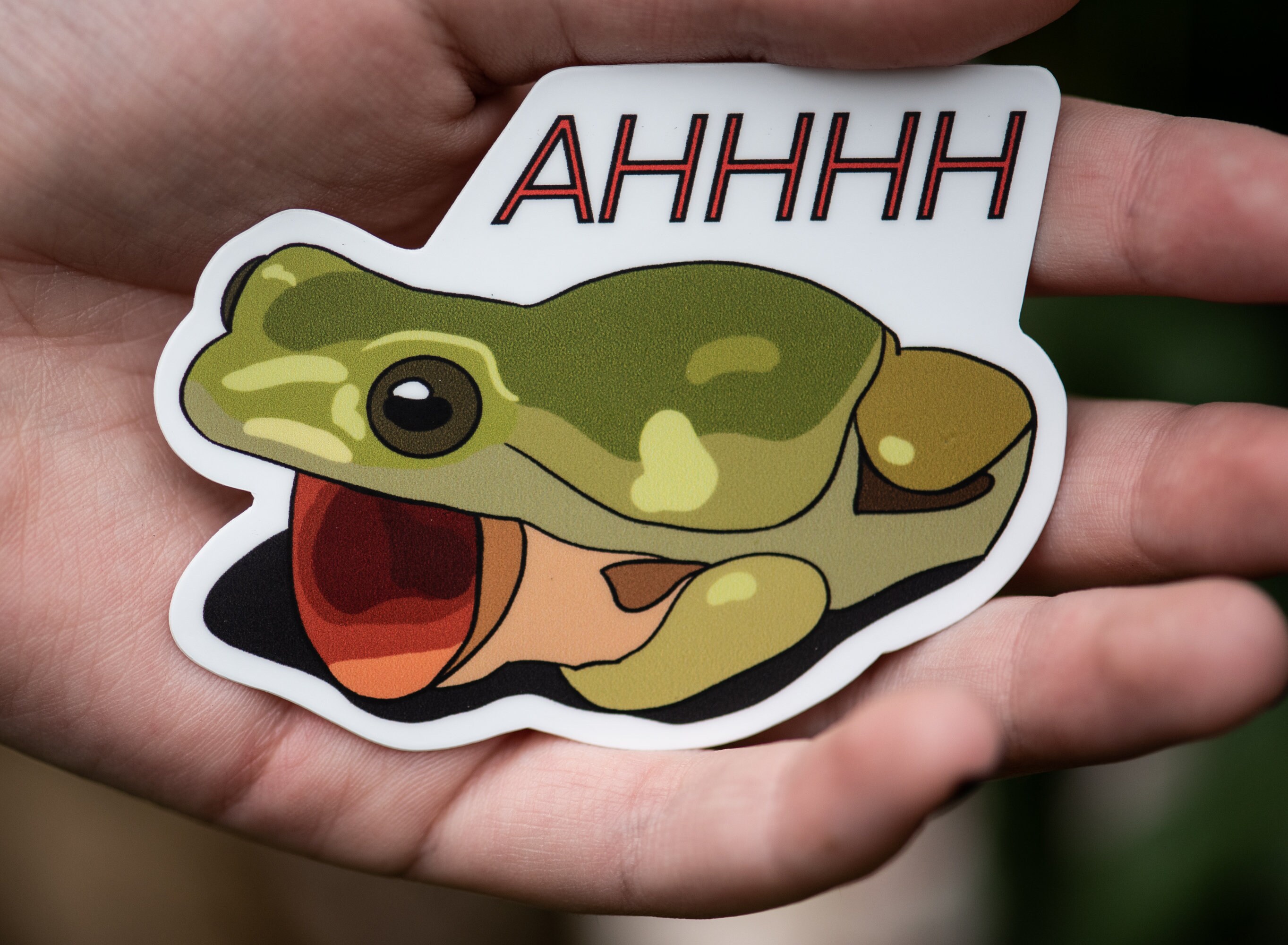 Frog | Stickers | Frog and Toad | Green Frog Croc | Froggy | Waterproof ...
