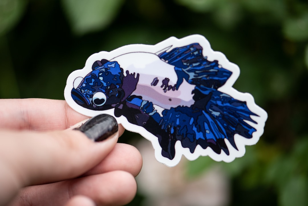 Betta Fish Sticker | Fish Tank | Laptop Stickers | Mirror Decal | Fish ...