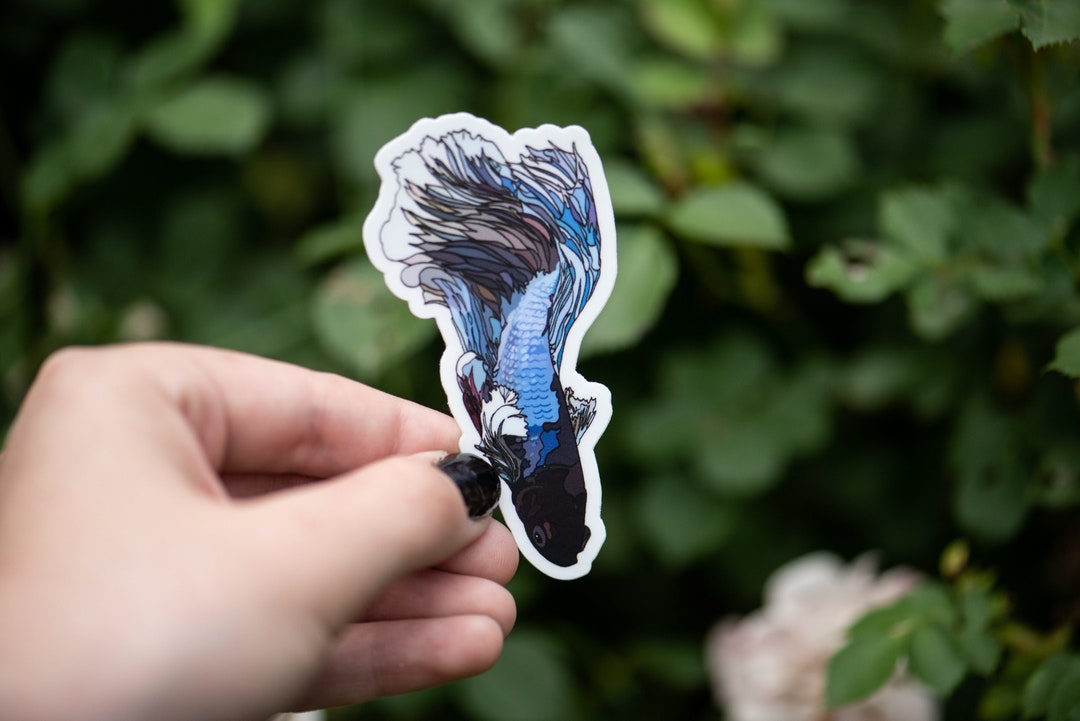 Sticker | Betta Fish Sticker | Fish Tank | Hydro Flask Stickers ...