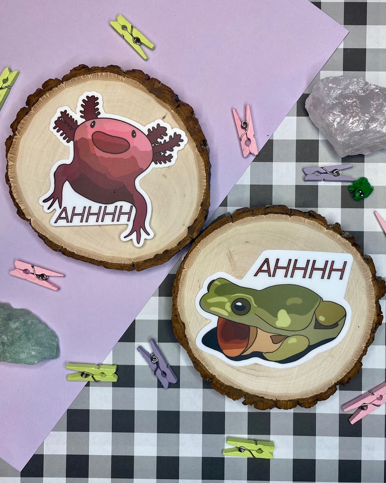 Frog | Stickers | Frog and Toad | Green Frog Croc | Froggy | Waterproof ...