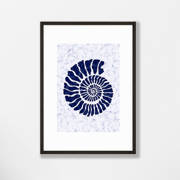 Ammonite Shell - Etsy